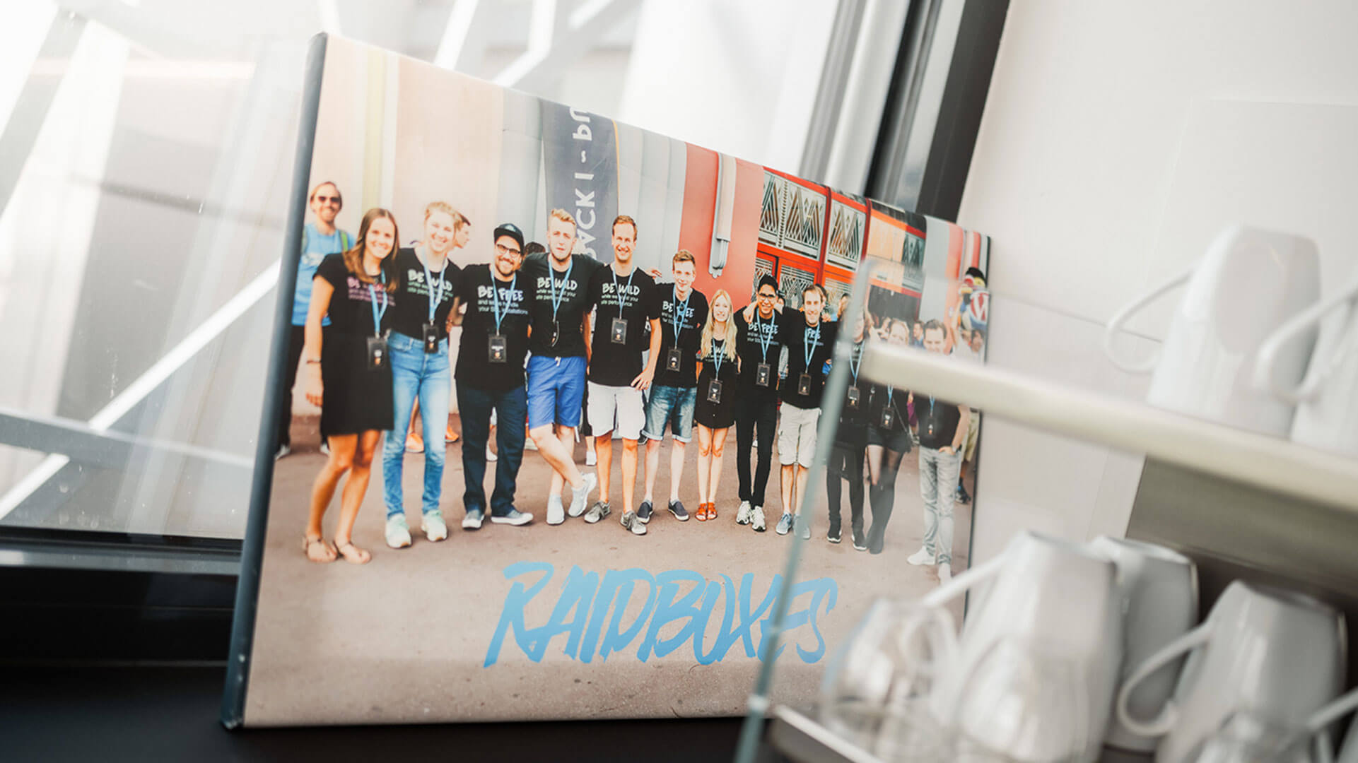 About raidboxes® - WordPress hosting made in Europe