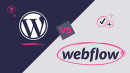 Webflow Vs WordPress Which CMS Is Better Raidboxes 