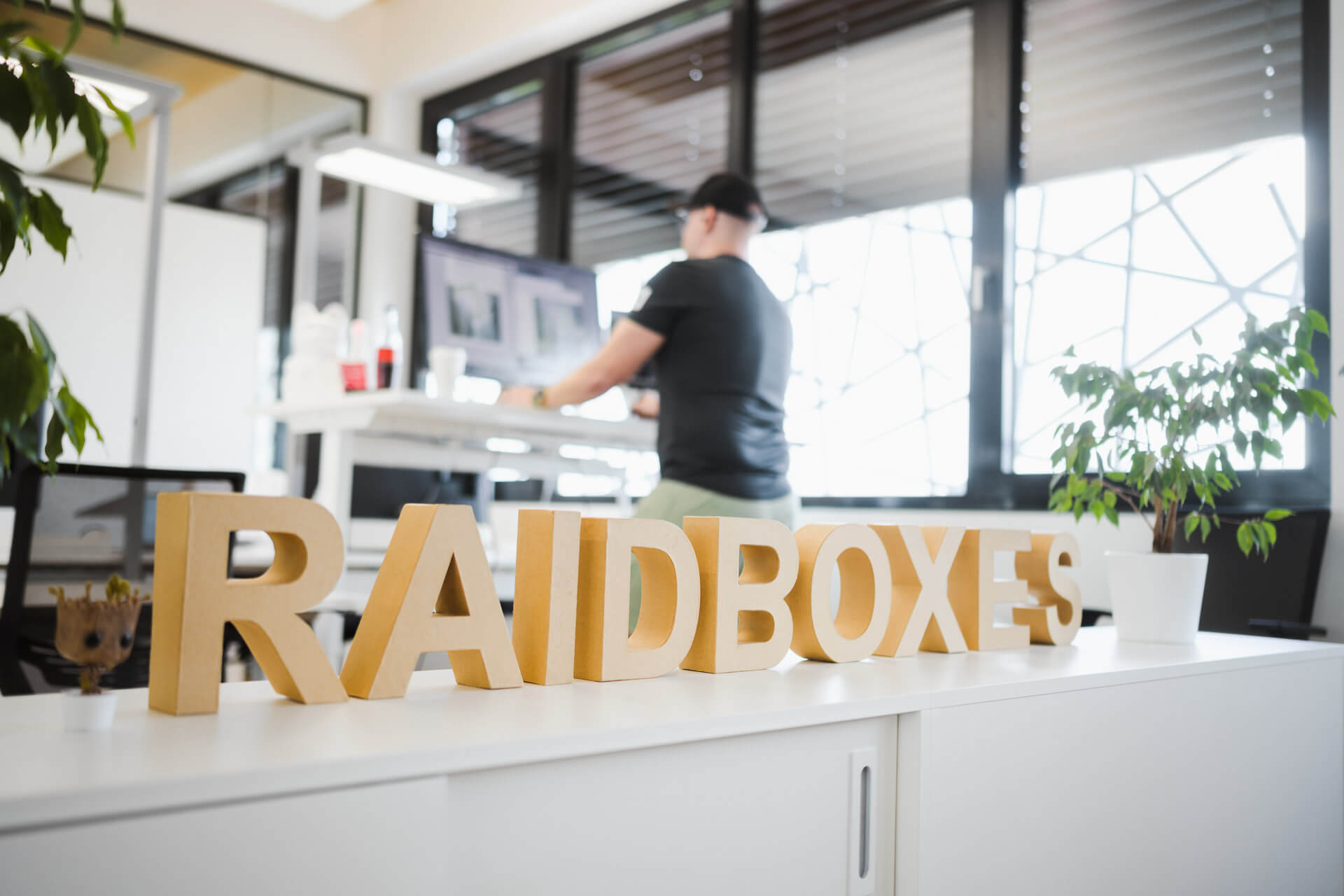 About raidboxes® - WordPress hosting made in Europe