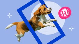 WordPress Performance Plugins Comparison Raidboxes 